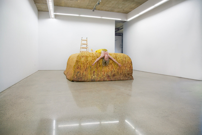 Amanda Coogan: The Fall, Kevin Kavanagh Gallery, Dublin, 25 June 2009 ...