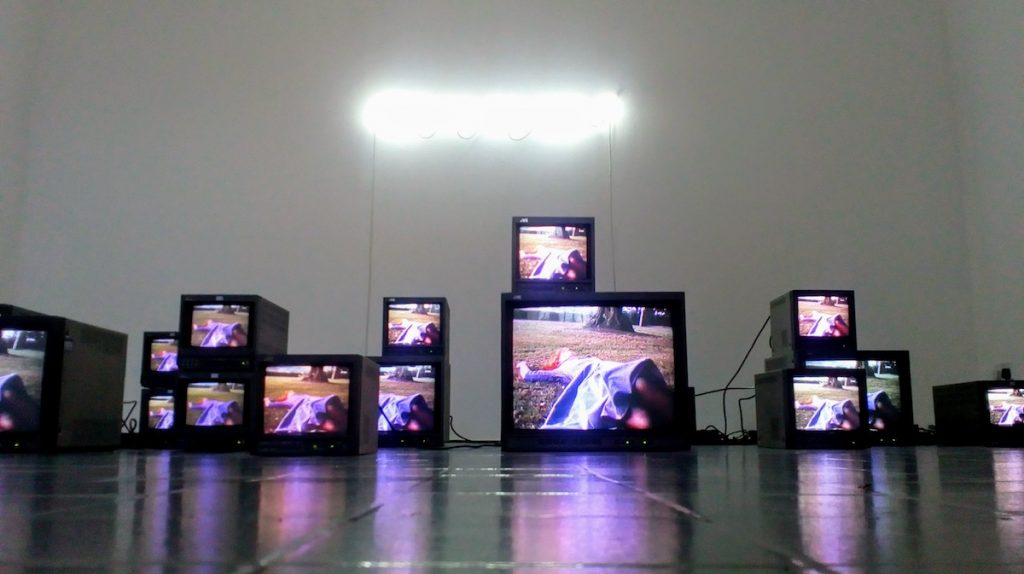 Susan MacWilliam, installation view of Modern Experiments. Photo Lynda ...